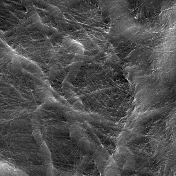 biocade dura - biotrics