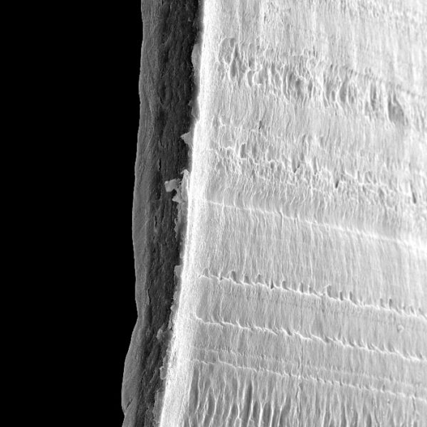 biocade dura - biotrics