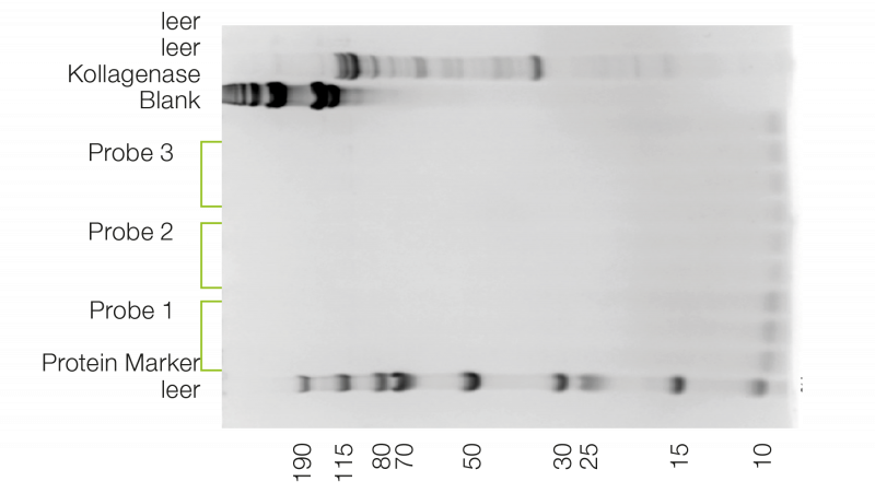 biocade – biotrics